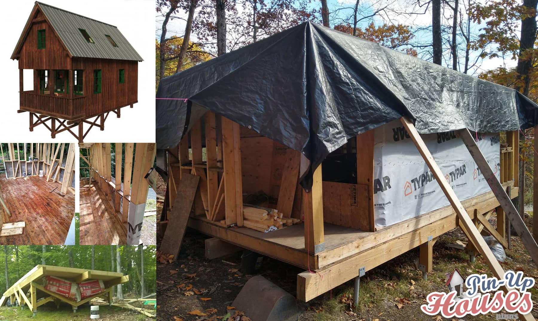 Small House Ginger under the Construction- Site Report from Randy the ...